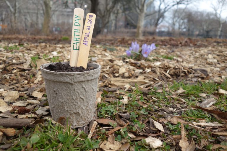 Earth Day Herb Gardening For Children - The Battery